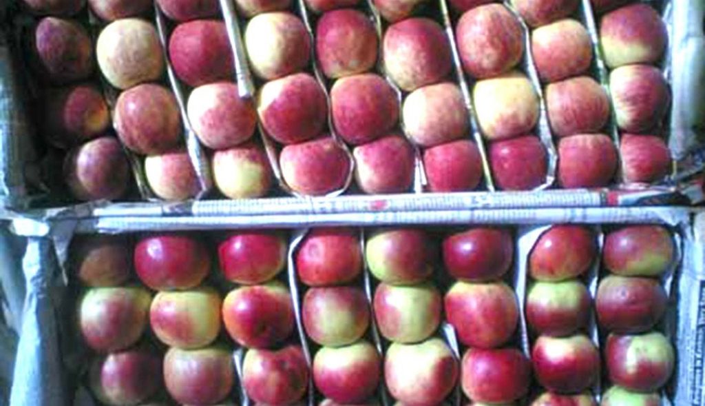 Flash floods ravage paddy apple crops in south Kashmir | Kashmir Reader