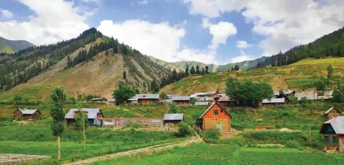 The Green Future Of Gurez Valley Depends On Two Things: Planting Trees ...