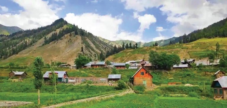 The Green Future Of Gurez Valley Depends On Two Things: Planting Trees ...