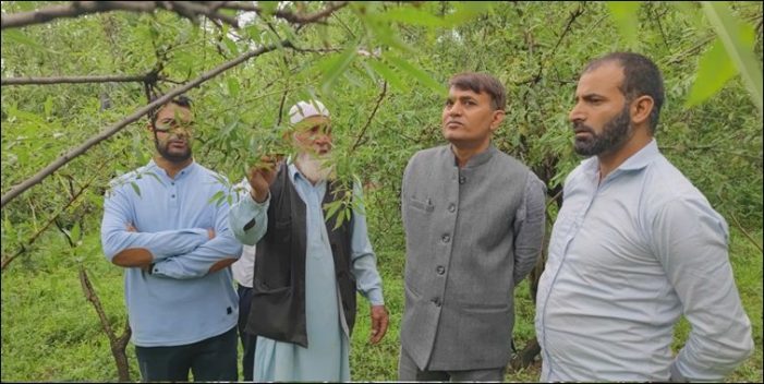 Kashmir’s Backbone Is Breaking: Vanishing Apples, Vanishing Water ...